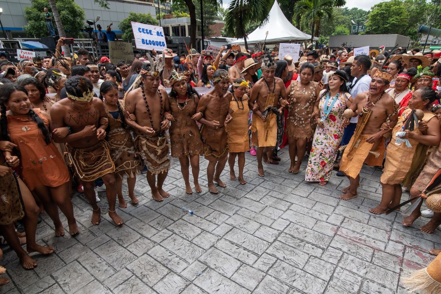 (Multimedia) Venezuela presenta ante Unesco plan para preservar idiomas ...