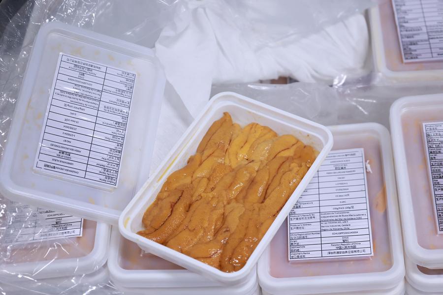 (Multimedia) De erizos de mar a vehículos de nueva energía: China y ...