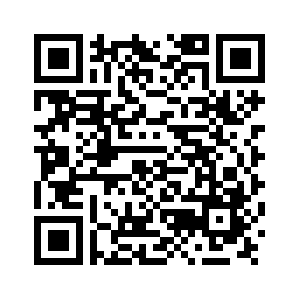 Bolivia pide a observadores internacionales actuar con equilibrio en ...