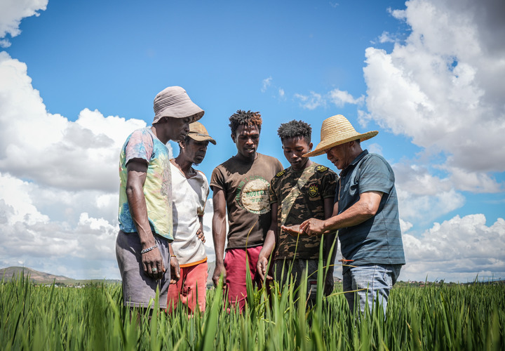 (Multimedia) Opinión: La amistad entre China y África contenida en una ...