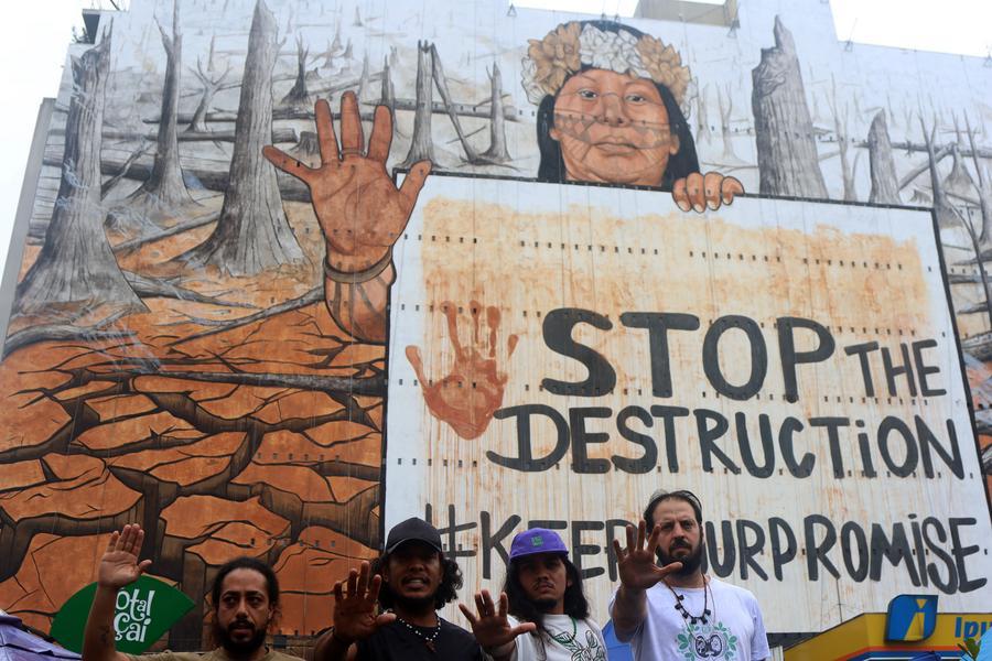(Multimedia) Brasil reduce deforestación a menos de un millón de ...