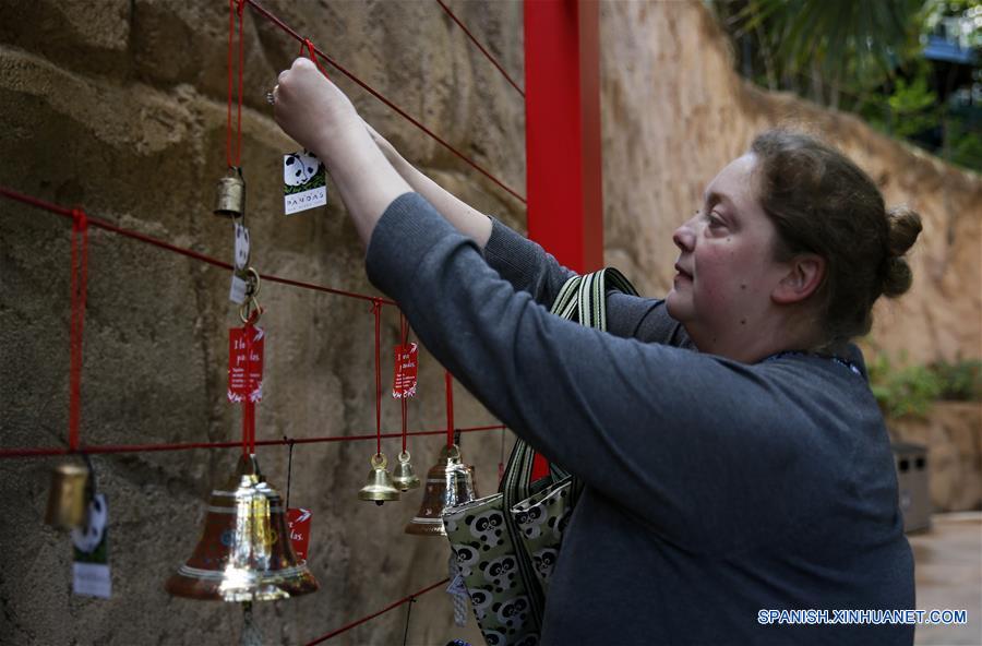 Zoológico de San Diego despide a dos pandas gigantes - CHINA-AMÉRICA ...