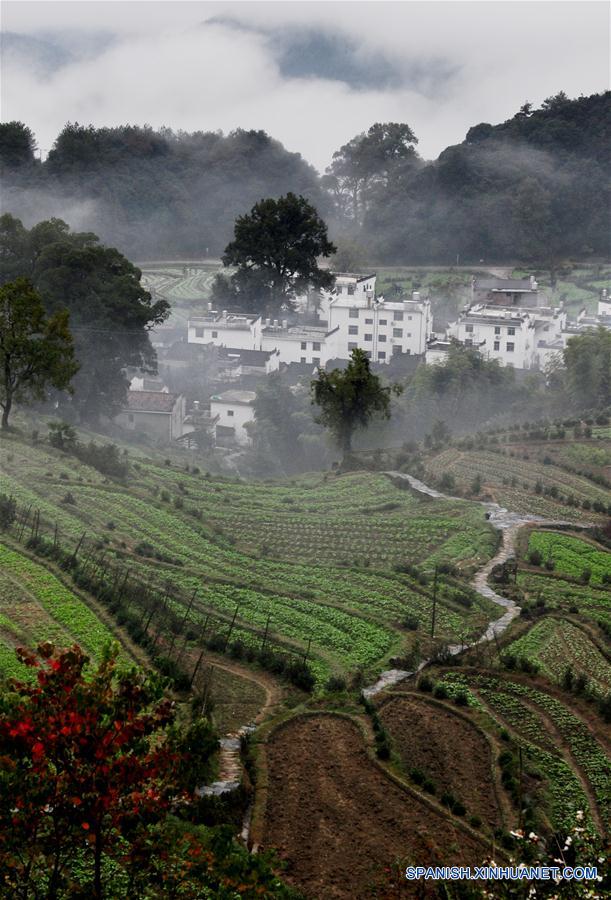 Paisaje de la aldea Jiangling | Spanish.xinhuanet.com