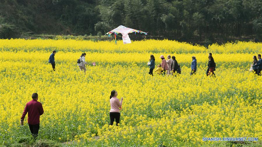 Las flores de colza en Zhejiang | Spanish.xinhuanet.com